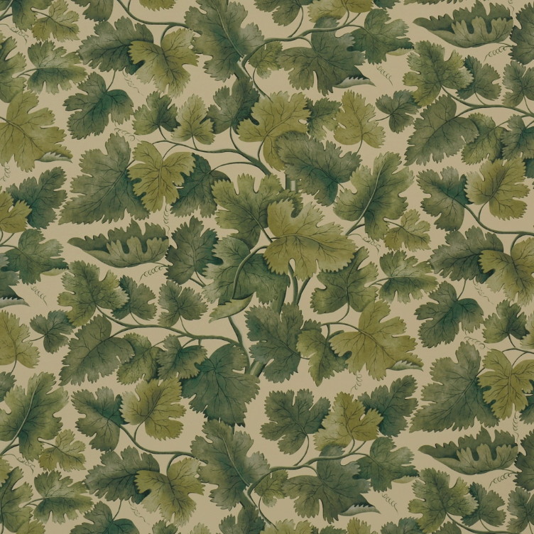 Edinburgh Vine Wallpaper - Urban American Dry Goods Co.