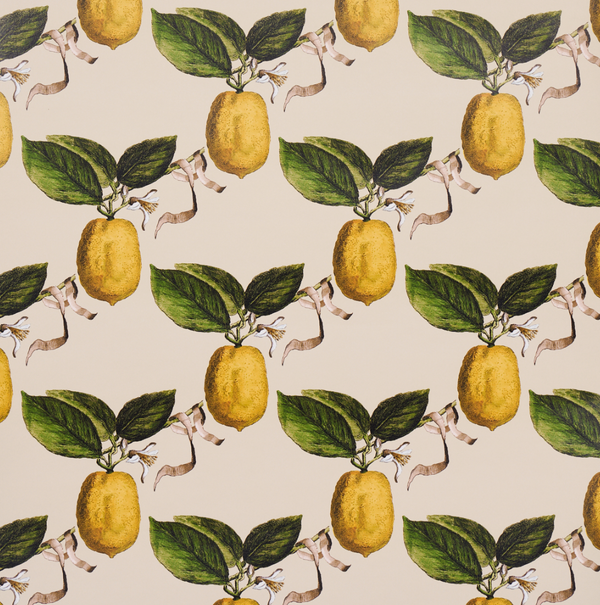 Le Citron Fabric - Urban American Dry Goods Co.